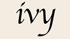 Ivy clothing shop – ivy